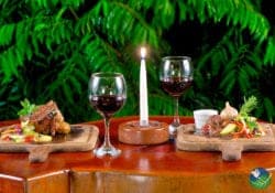 Hotel Costa Verde Costa Rica - Hotel in Manuel Antonio,