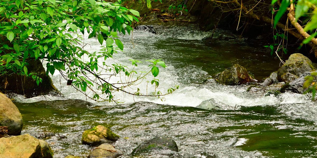 Rafting en Costa Rica - Río Savegre